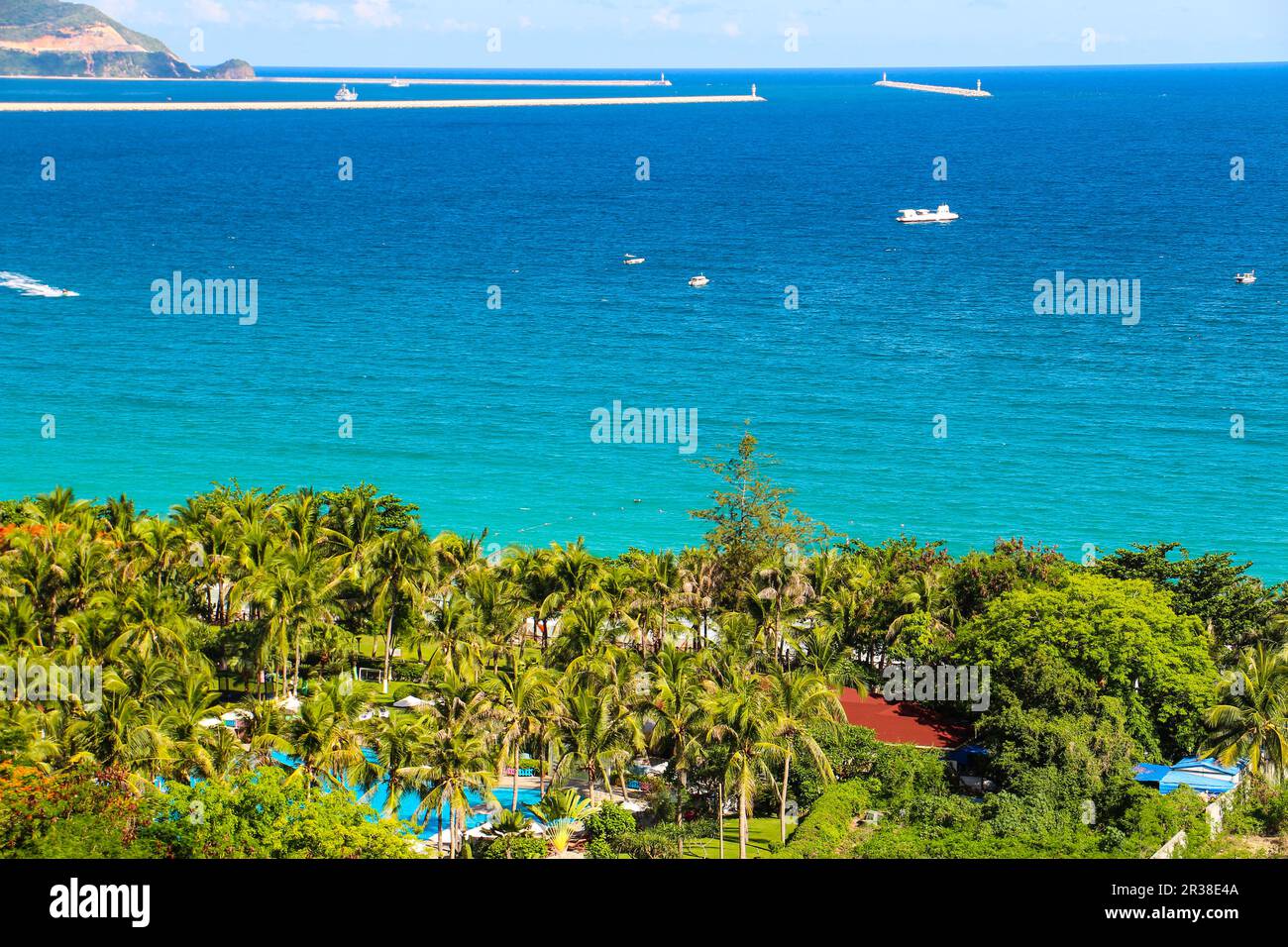 Vlogger paradise hi-res stock photography and images - Alamy