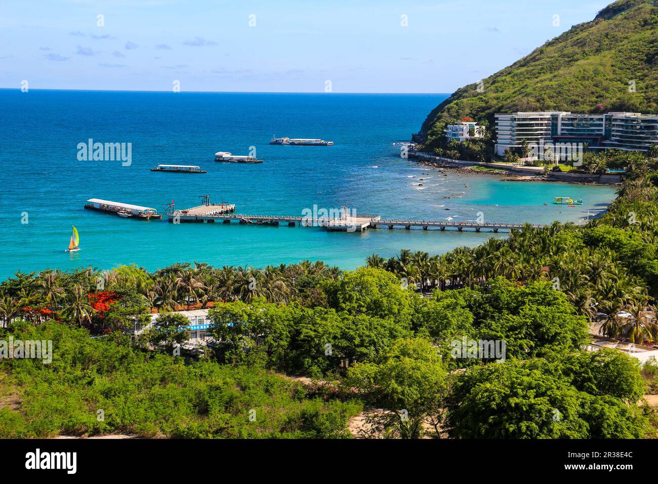 Vlogger paradise hi-res stock photography and images - Alamy