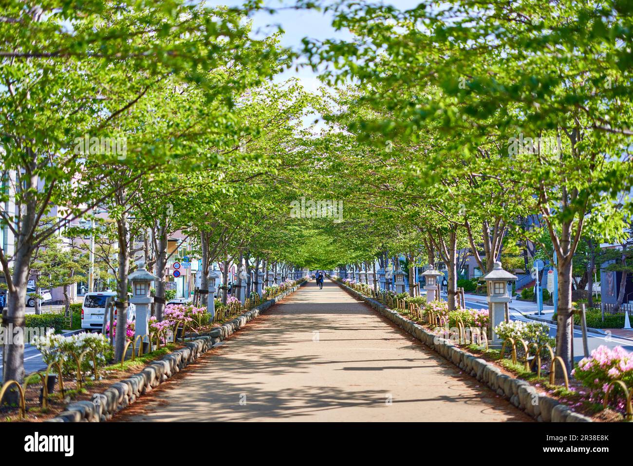 Wakamiya oji street hi-res stock photography and images - Alamy