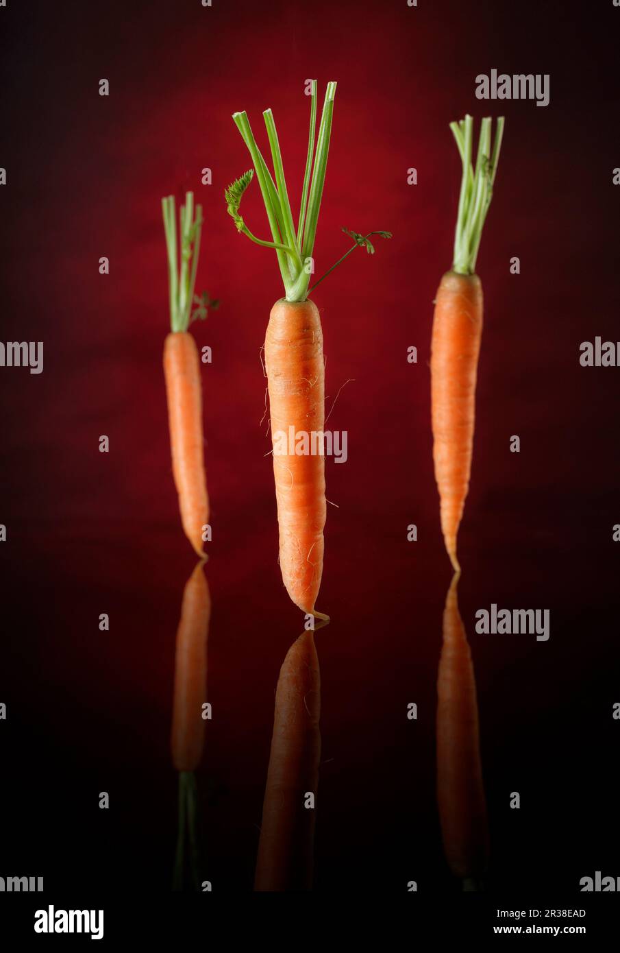 Three carrots against a red and black background Stock Photo - Alamy