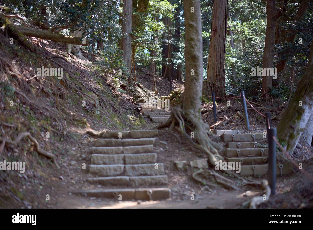 Mountain Path in Mt. Kurama, Kyoto Prefecture, Japan Stock Photo - Alamy