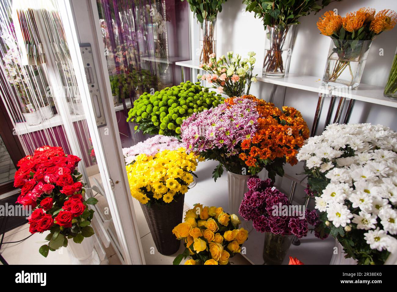 Variety of flowers Stock Photo - Alamy