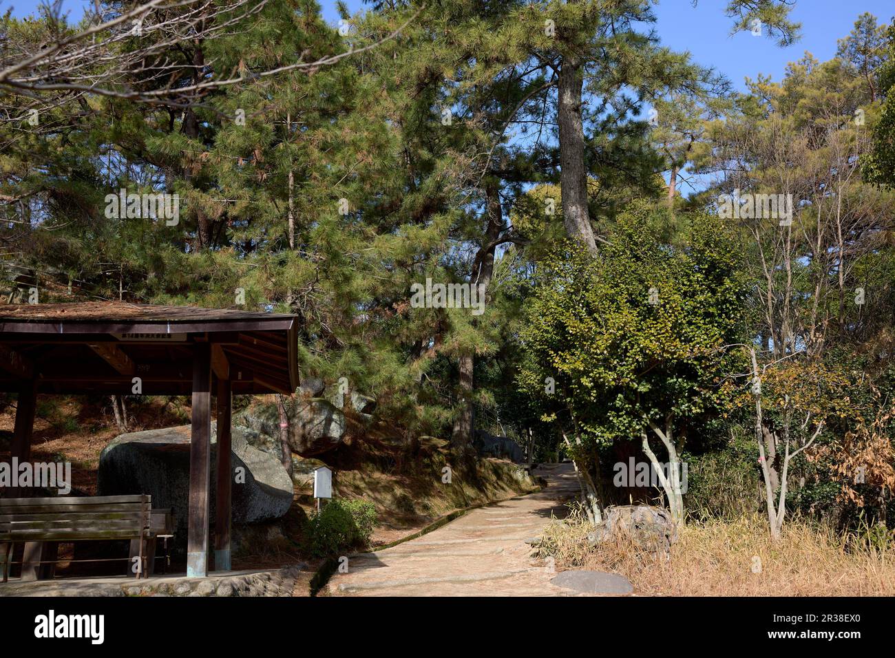 The path of literature hi-res stock photography and images - Alamy