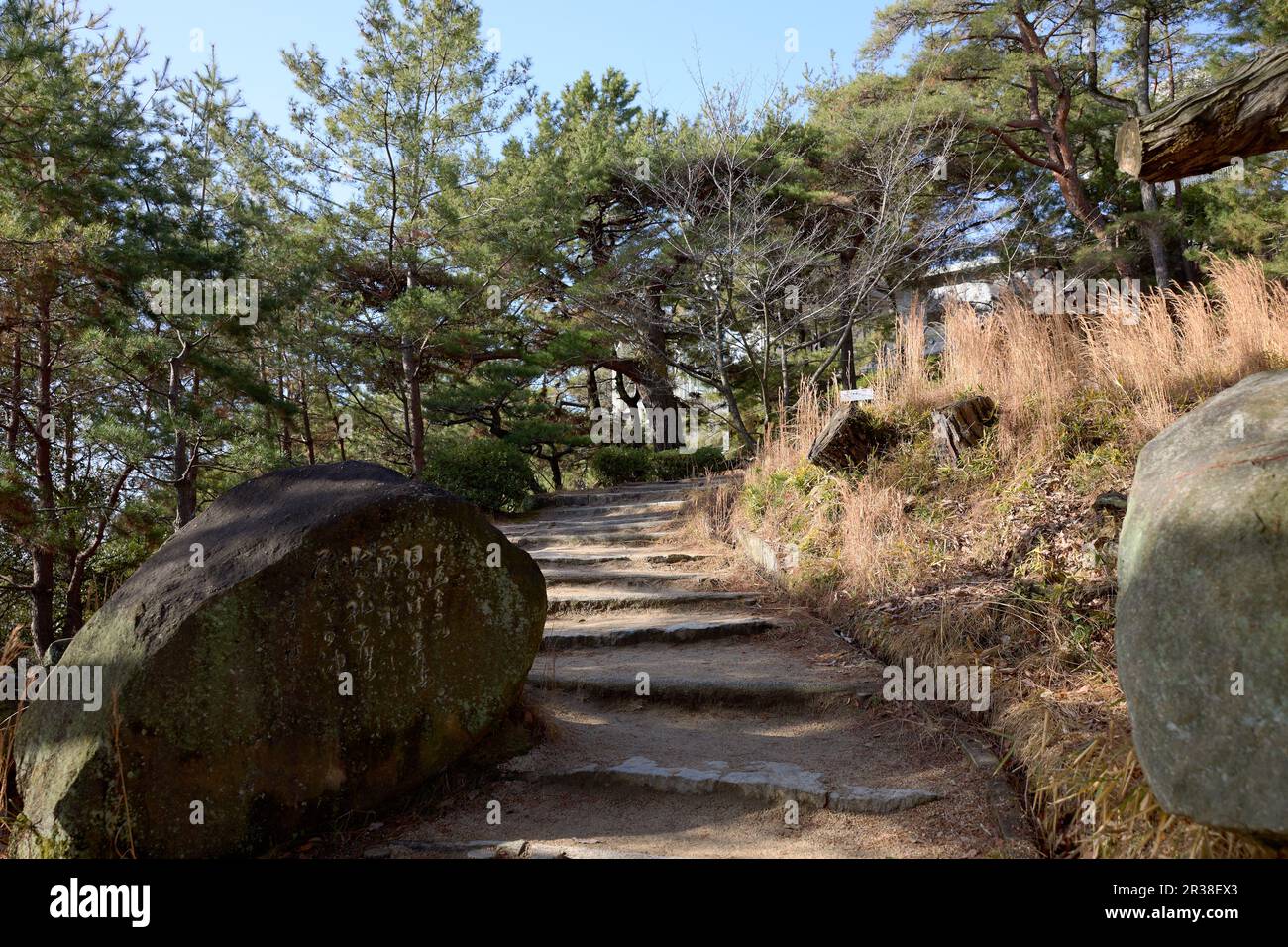 The path of literature hi-res stock photography and images - Alamy