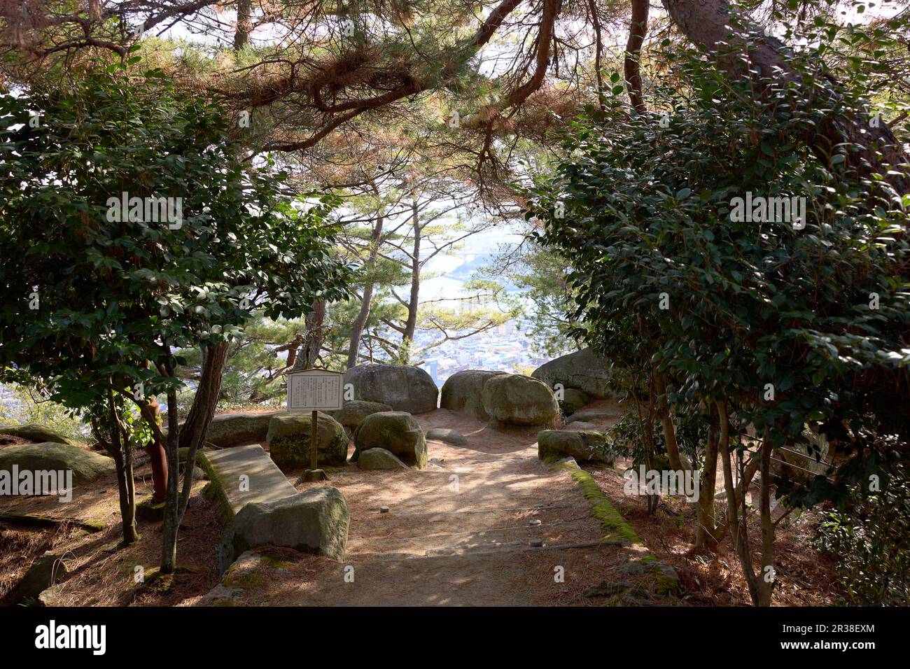 The path of literature hi-res stock photography and images - Alamy