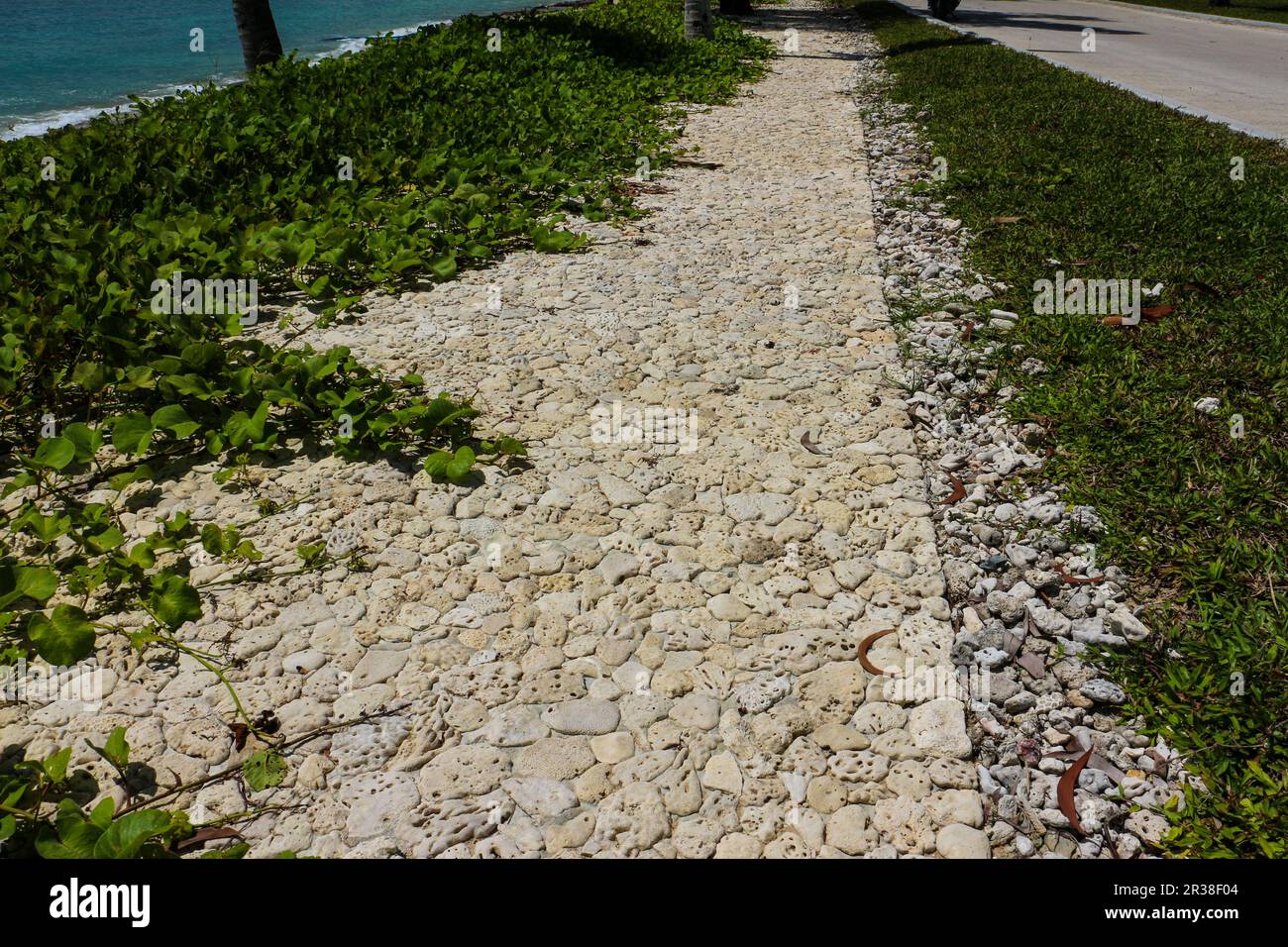 Road vibes hi-res stock photography and images - Alamy