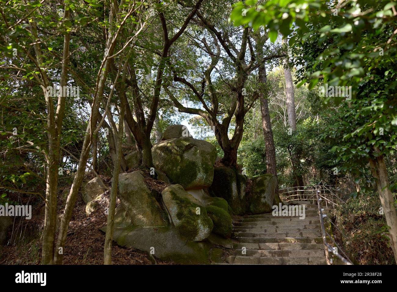 The path of literature hi-res stock photography and images - Alamy