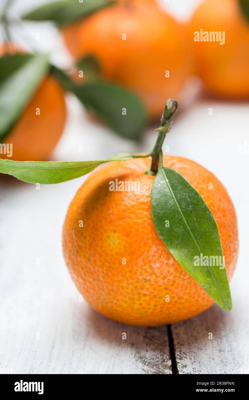 Closeup shot mandarin oranges hi-res stock photography and images - Alamy