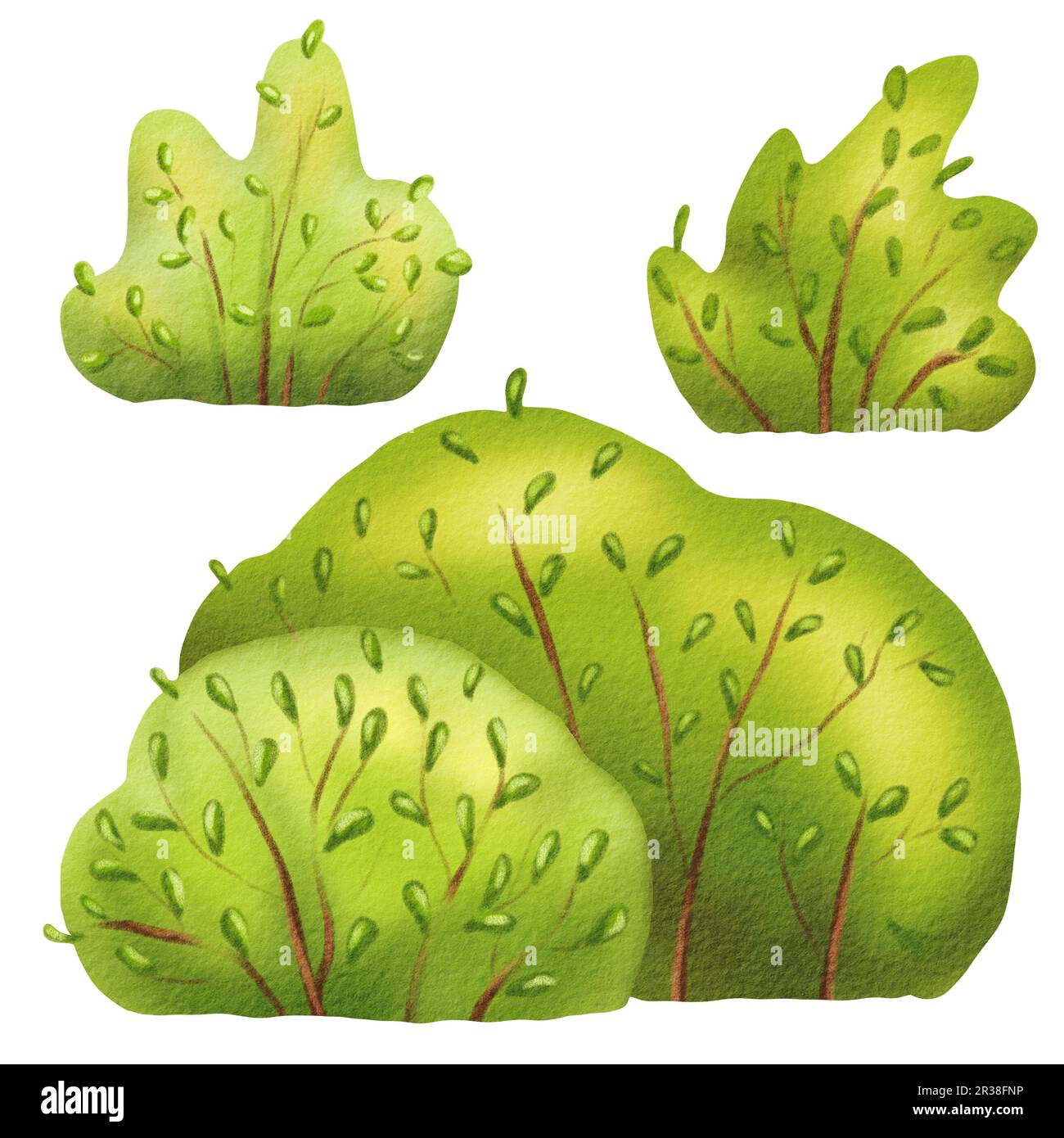 Set of green shrubs under the warm summer sun. Cartoon elements with ...