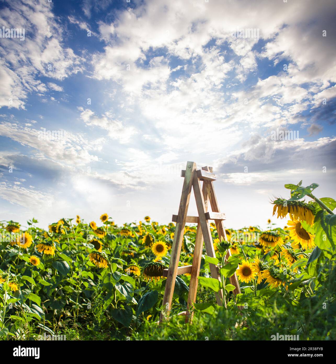 Ladder god hi-res stock photography and images - Alamy