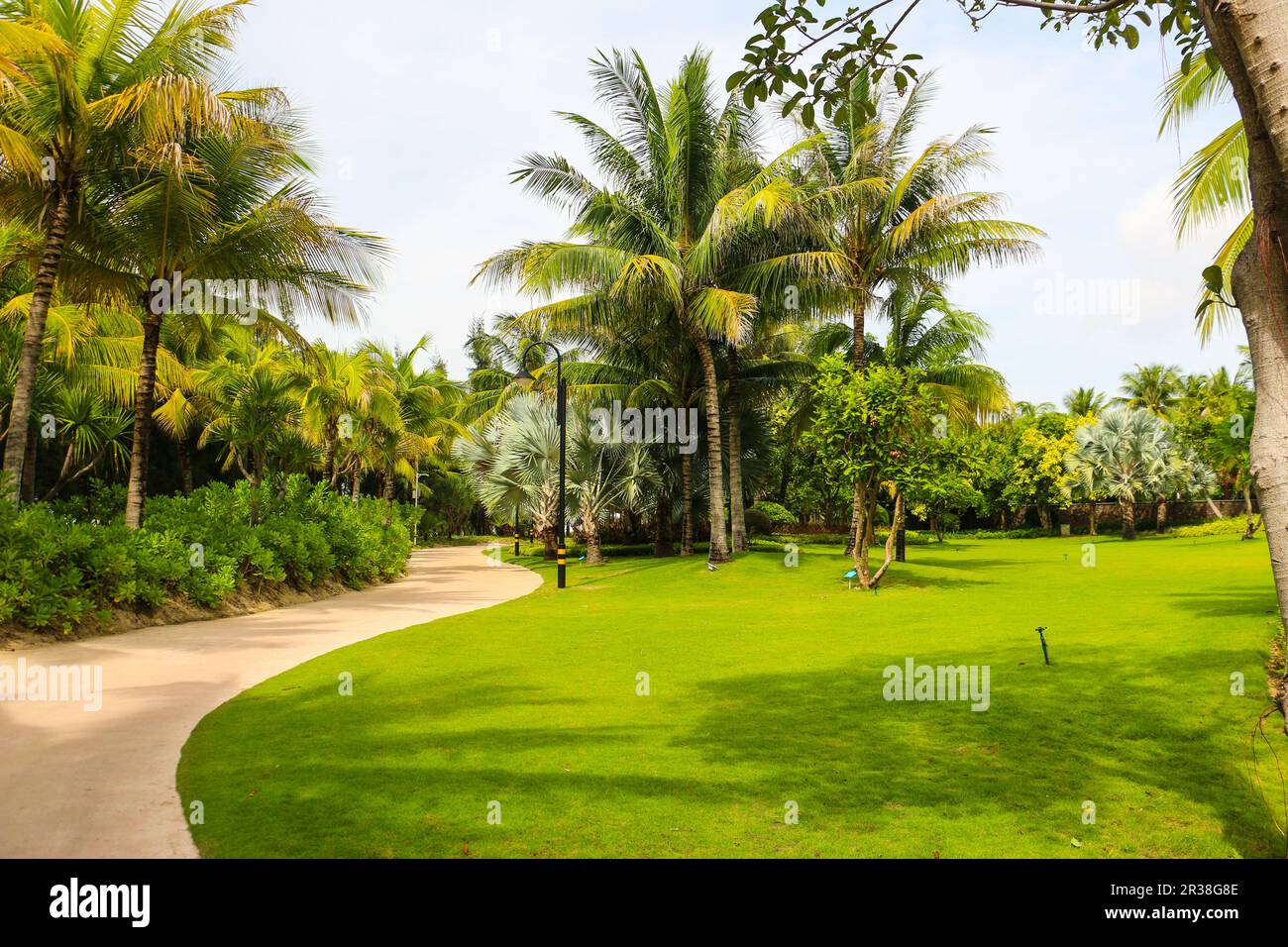 Vlogger paradise hi-res stock photography and images - Alamy