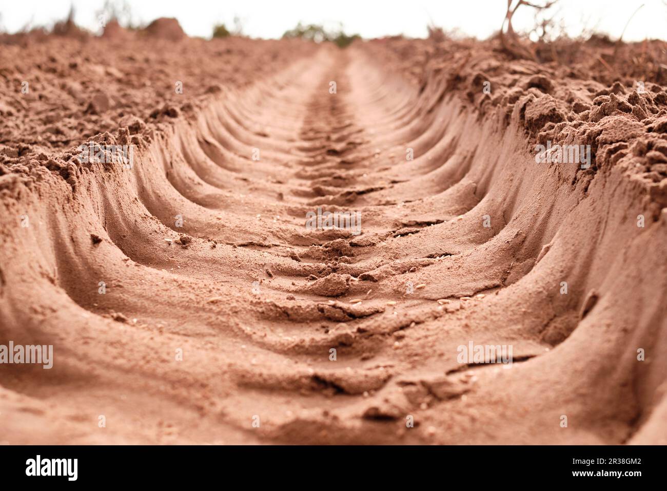 Sand, agriculture and field with land, farm and ground with economic ...