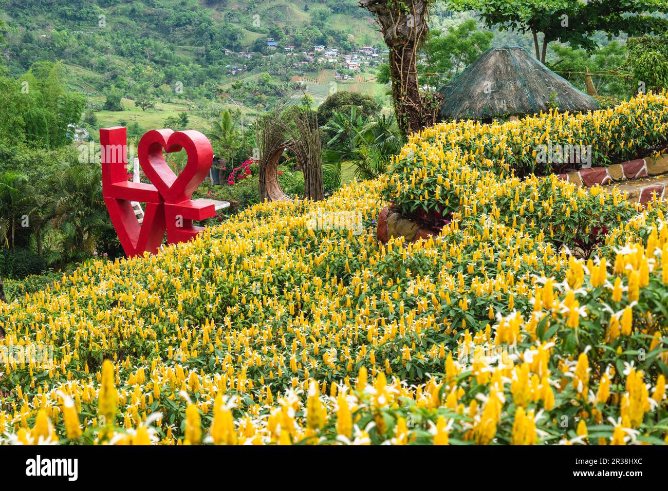 Sirao garden located at Barangay Sirao in Cebu, Philippines Stock Photo ...