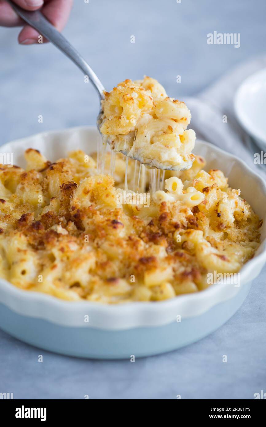 Macaroni cheese (pasta bake) in a casserole dish Stock Photo - Alamy