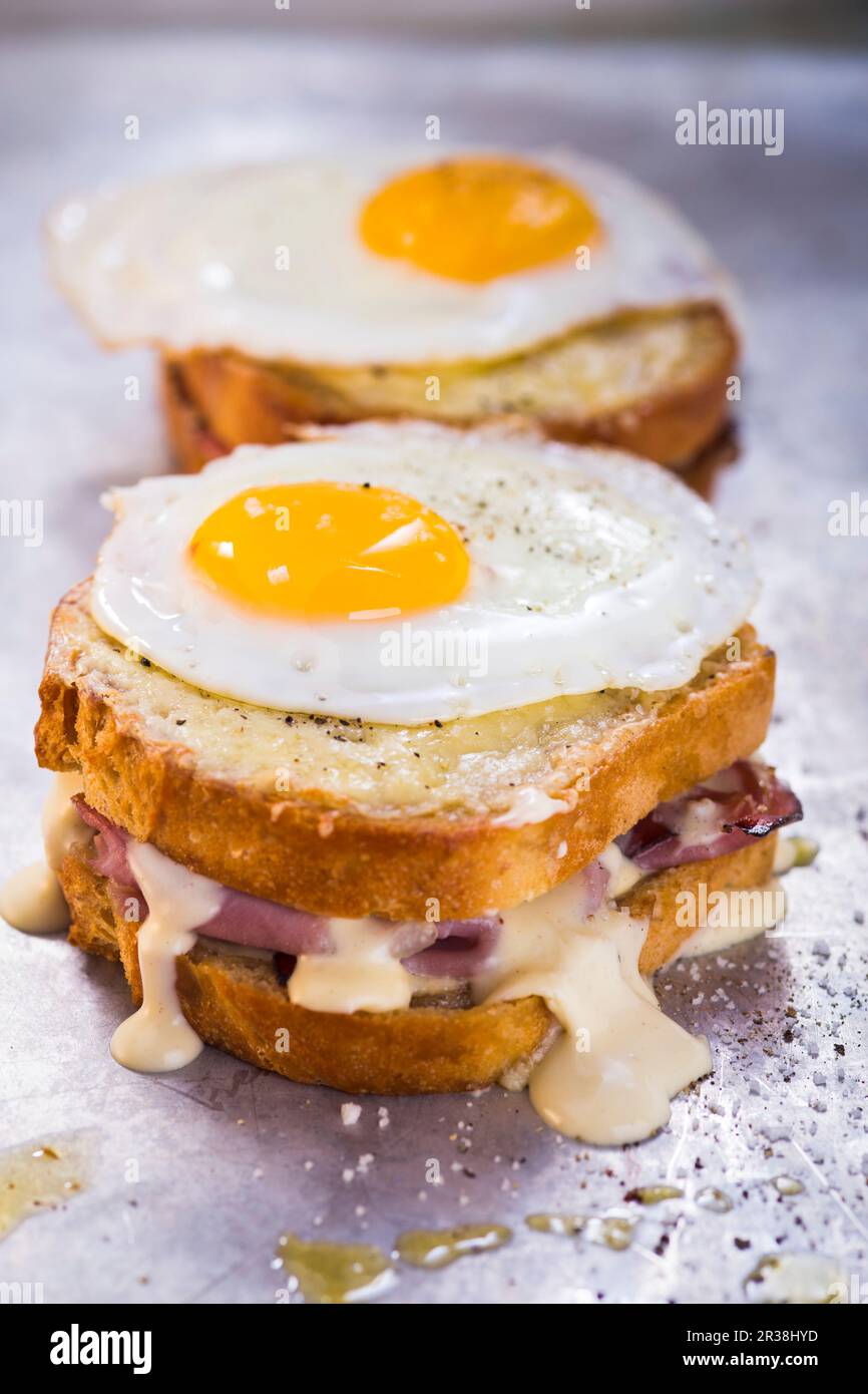 Croque Madame; Ham and Gruyere Cheese Grilled Sandwich with Herbed ...