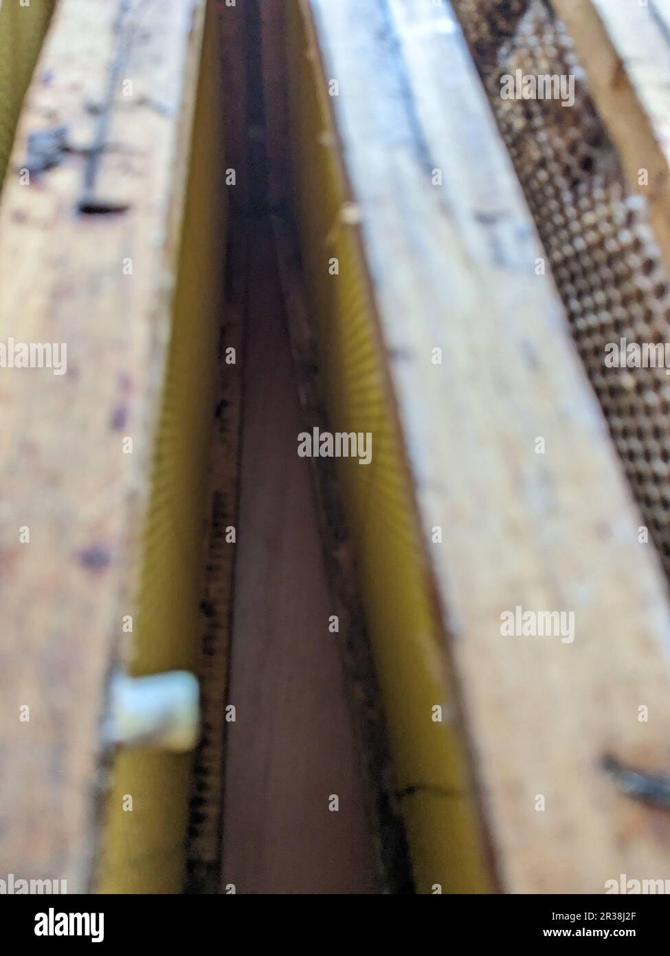 frames with wax,which are used in bee hives are getting ready for new ...