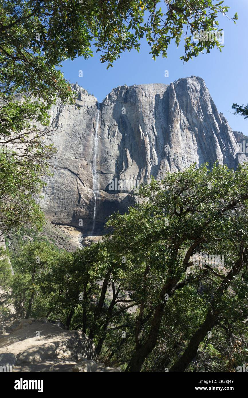 Yosemite waterfall during summer through the trees Stock Photo - Alamy