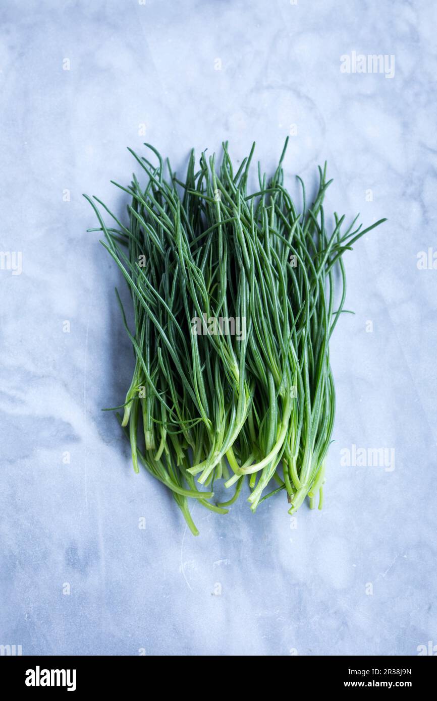 Barba di Frate or 'Monk's Beard' (Mediterranean spring vegetables Stock ...