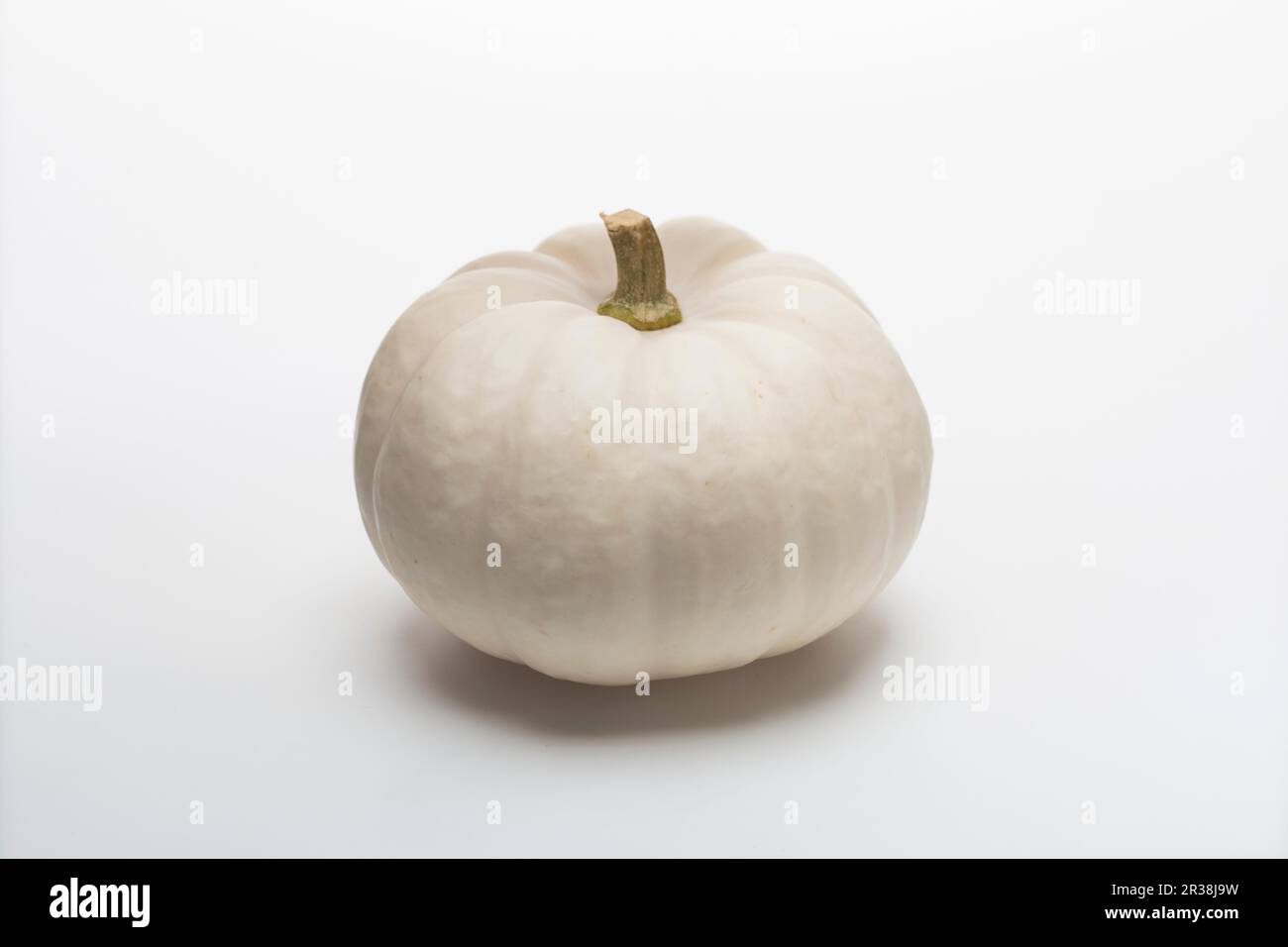 Baby boo (white, round, ornamental squash Stock Photo - Alamy