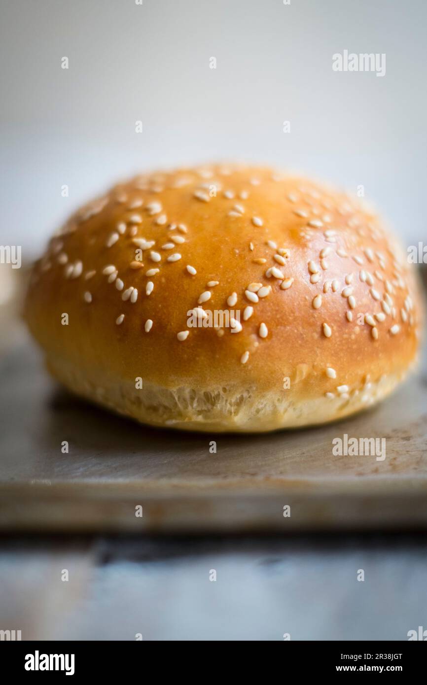 Studio light hamburger hi-res stock photography and images - Alamy
