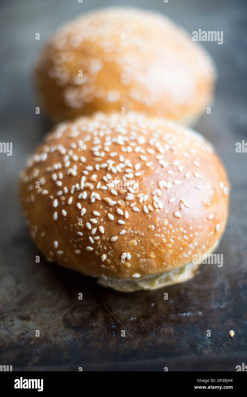 Hamburger rolls hi-res stock photography and images - Alamy