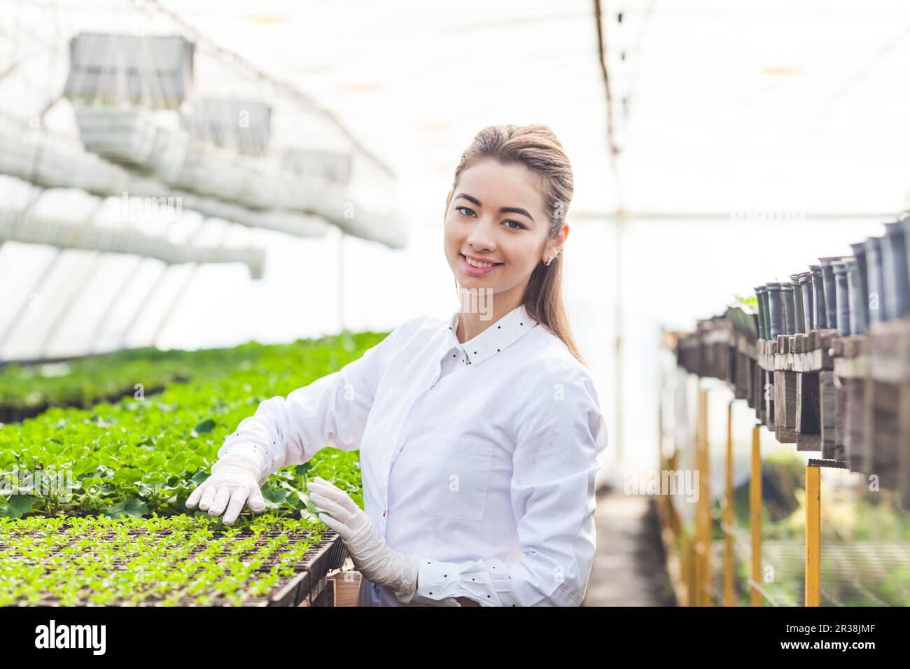 Human experiments hi-res stock photography and images - Alamy
