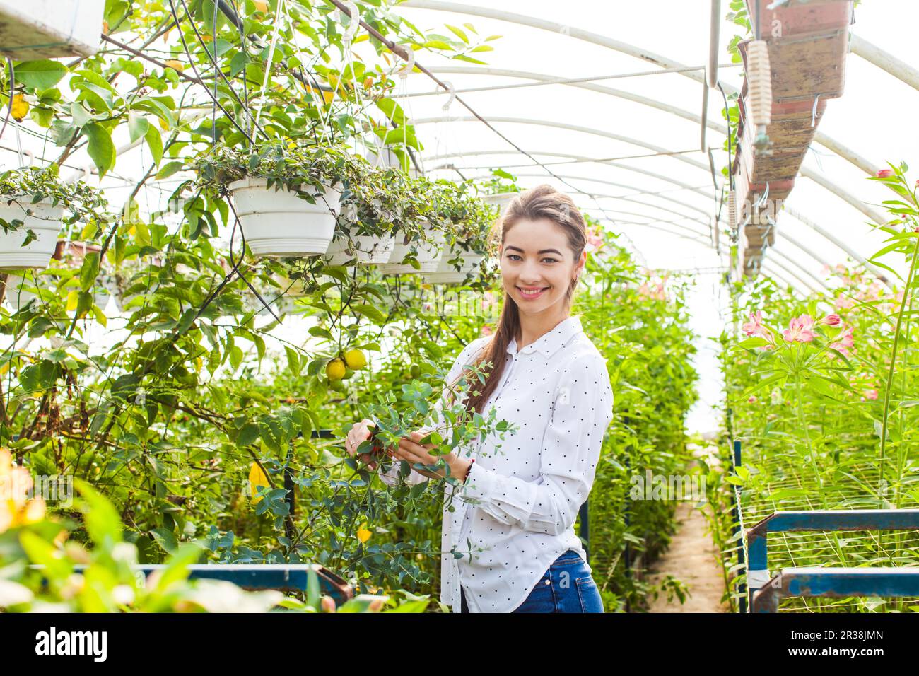 Nice work with plants Stock Photo - Alamy