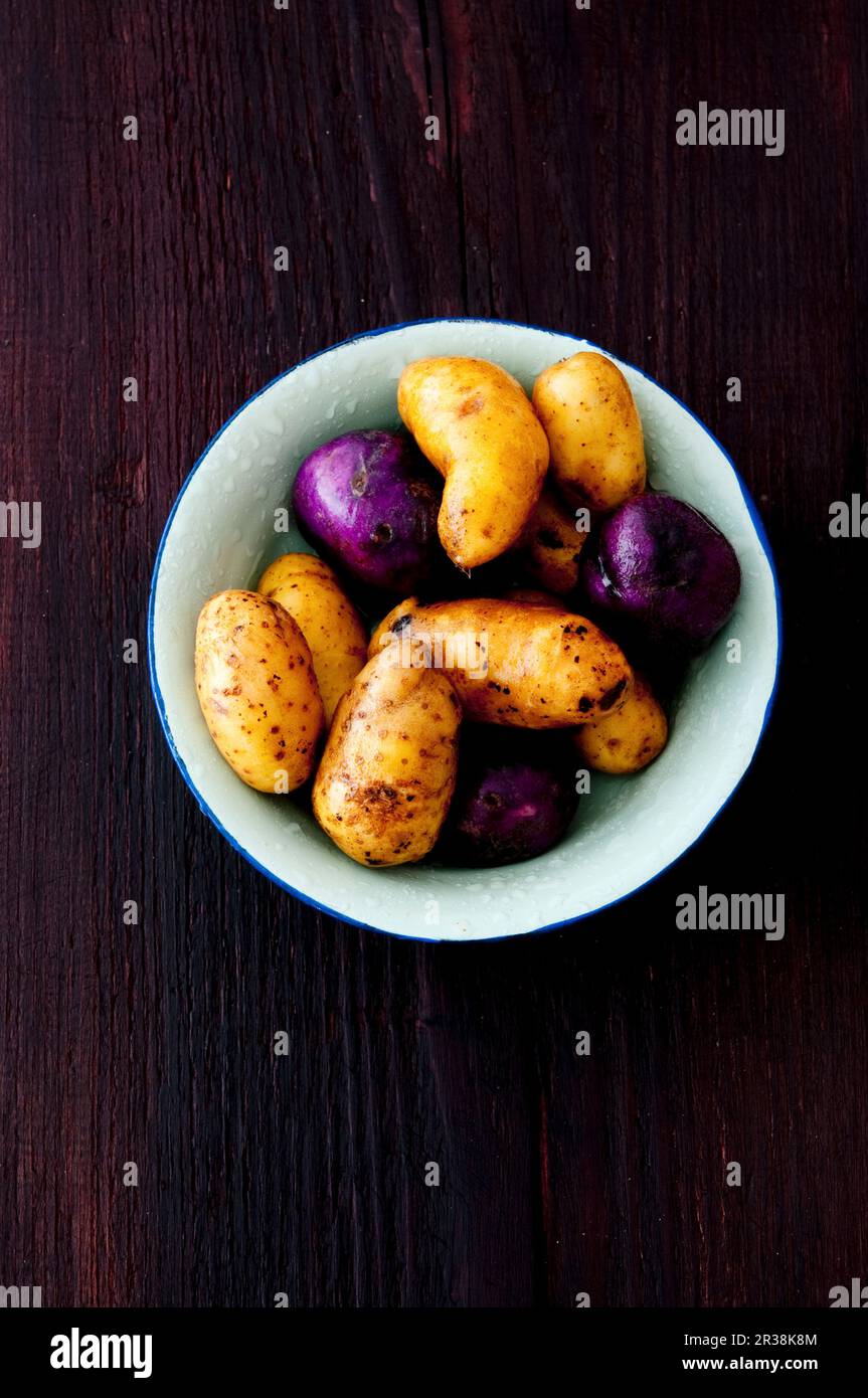 A selection of potatoes – Linda, Blue Congo and Vitelotte Stock Photo ...