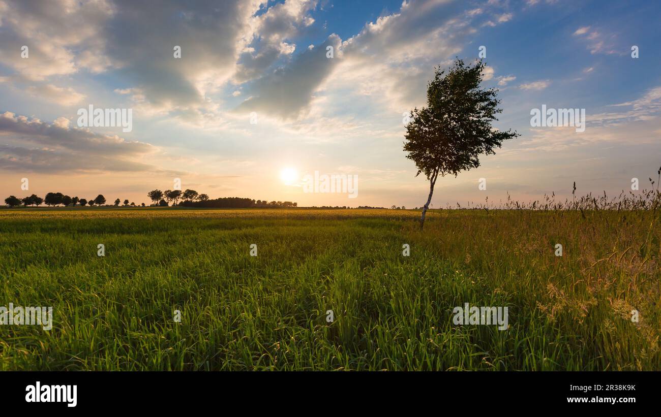 Polish landscape hi-res stock photography and images - Alamy