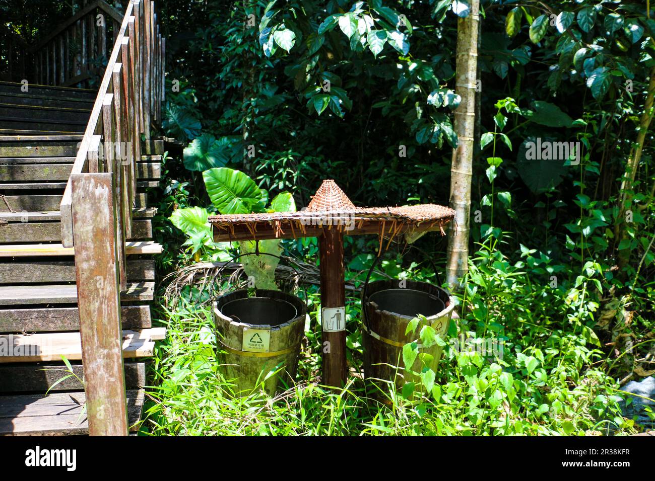 Hainan sanya island island tropical rainforest animals hi-res stock ...