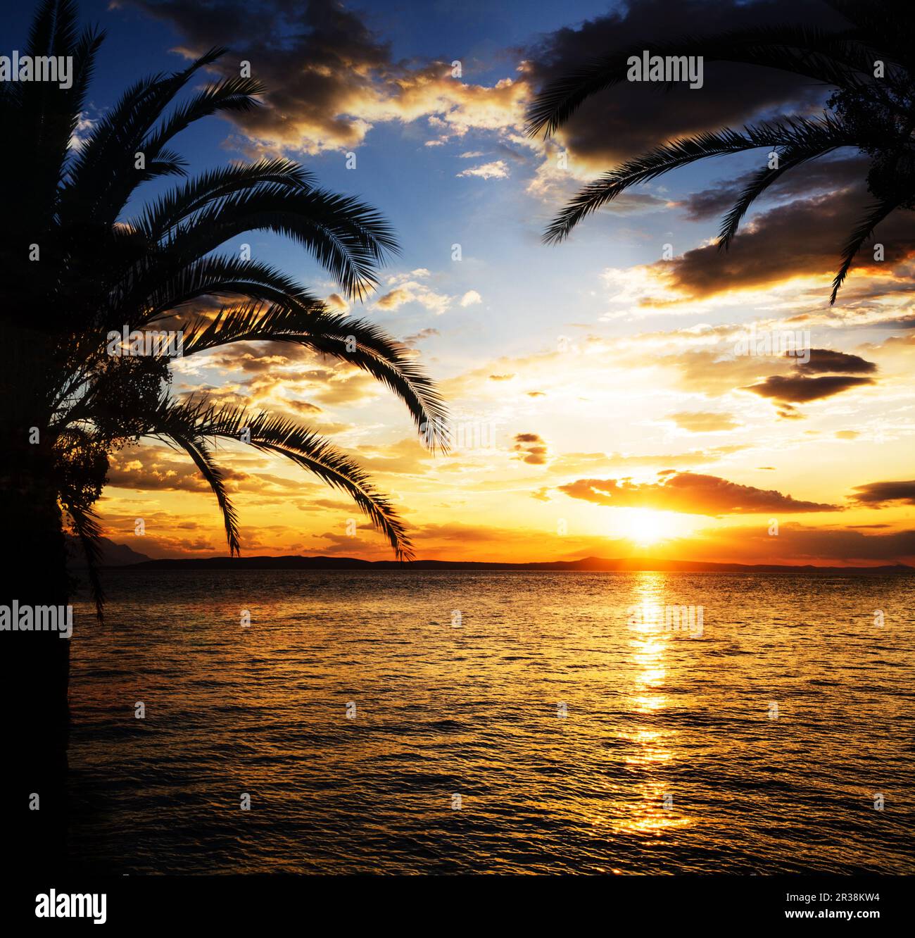 Summer vocations palms on the sea beach Stock Photo - Alamy