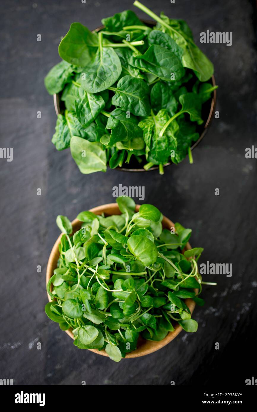 Spring spinach and watercress in wooden bowls Stock Photo - Alamy