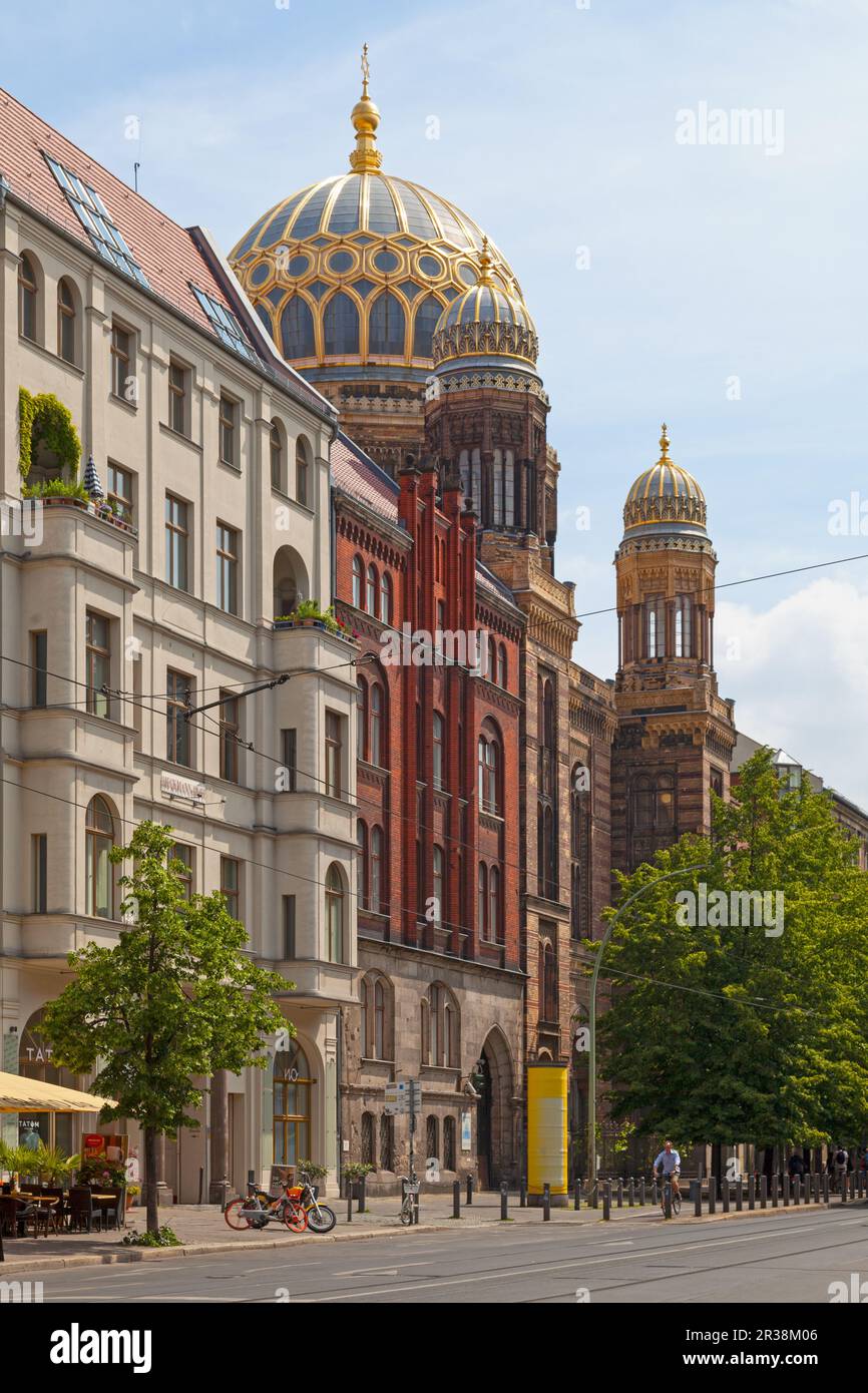 New synagoge hi-res stock photography and images - Alamy