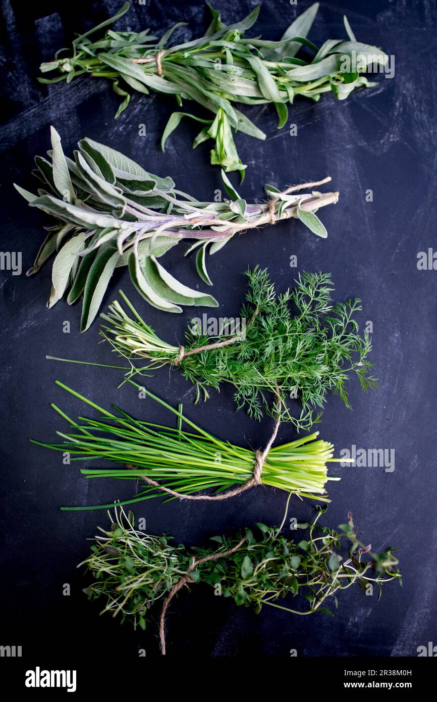 Bunches Fresh Herbs Stock Photo - Alamy