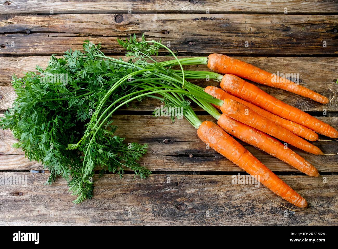 Bunch of Spring Carrots Stock Photo - Alamy