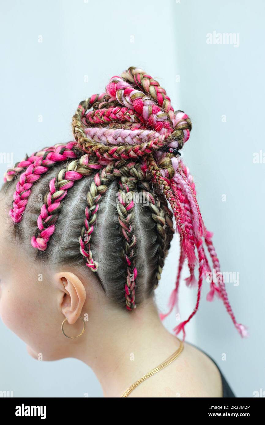 Thick braids collected in a tail or a bump, pink color of a kane Stock ...