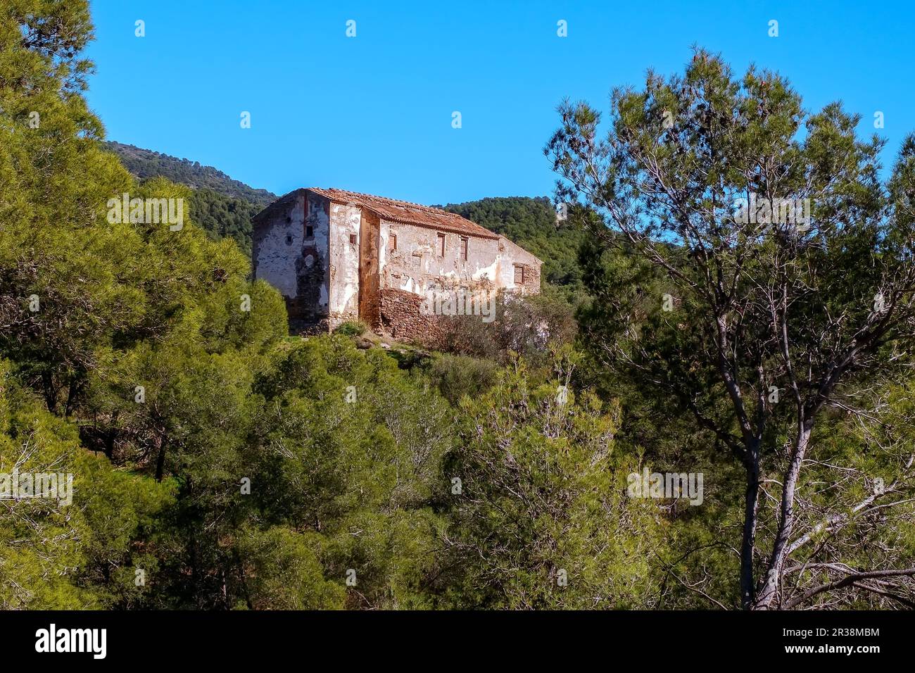 Ruined cottage in forest hi-res stock photography and images - Alamy