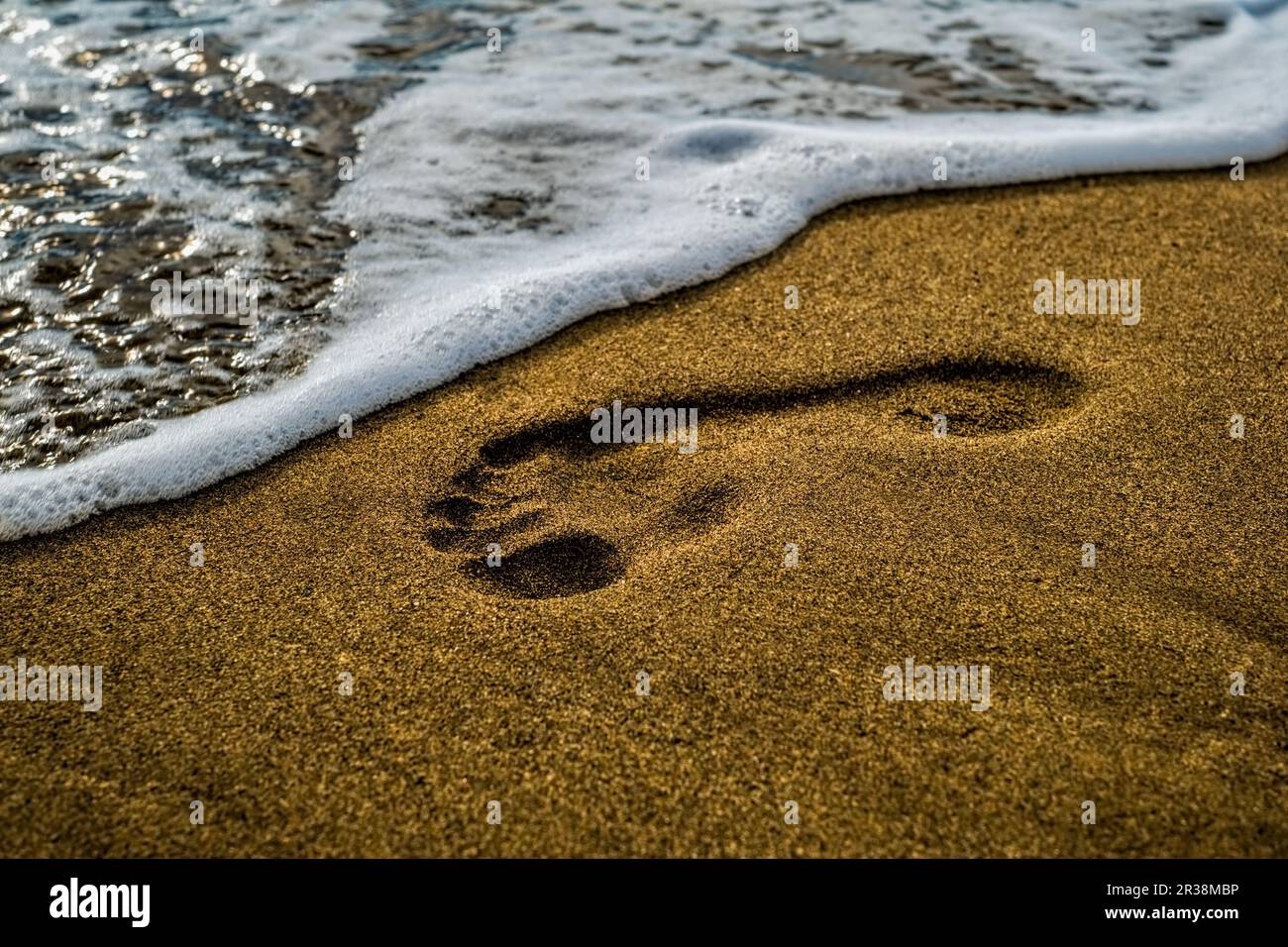 Footprint on the sea beach Stock Photo - Alamy