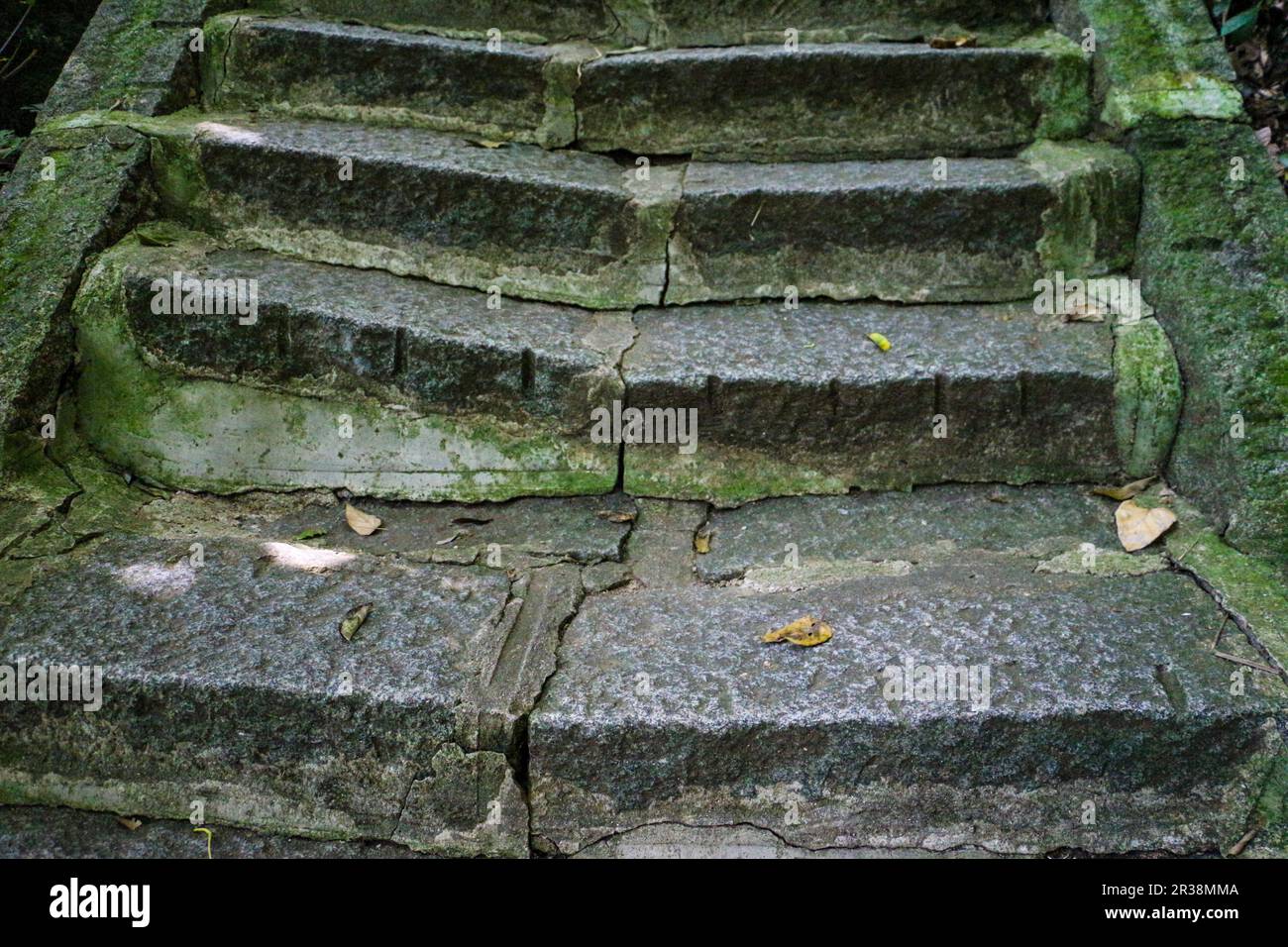 Medieval vibes hi-res stock photography and images - Alamy