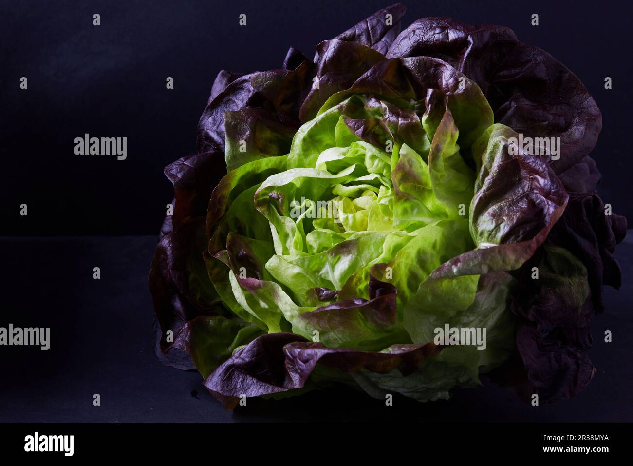 Batavia lettuce hi-res stock photography and images - Alamy