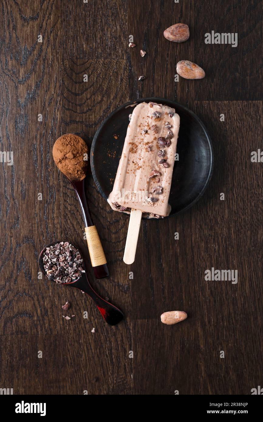 A chocolate ice cream lolly with cocoa powder and cocoa nibs Stock ...