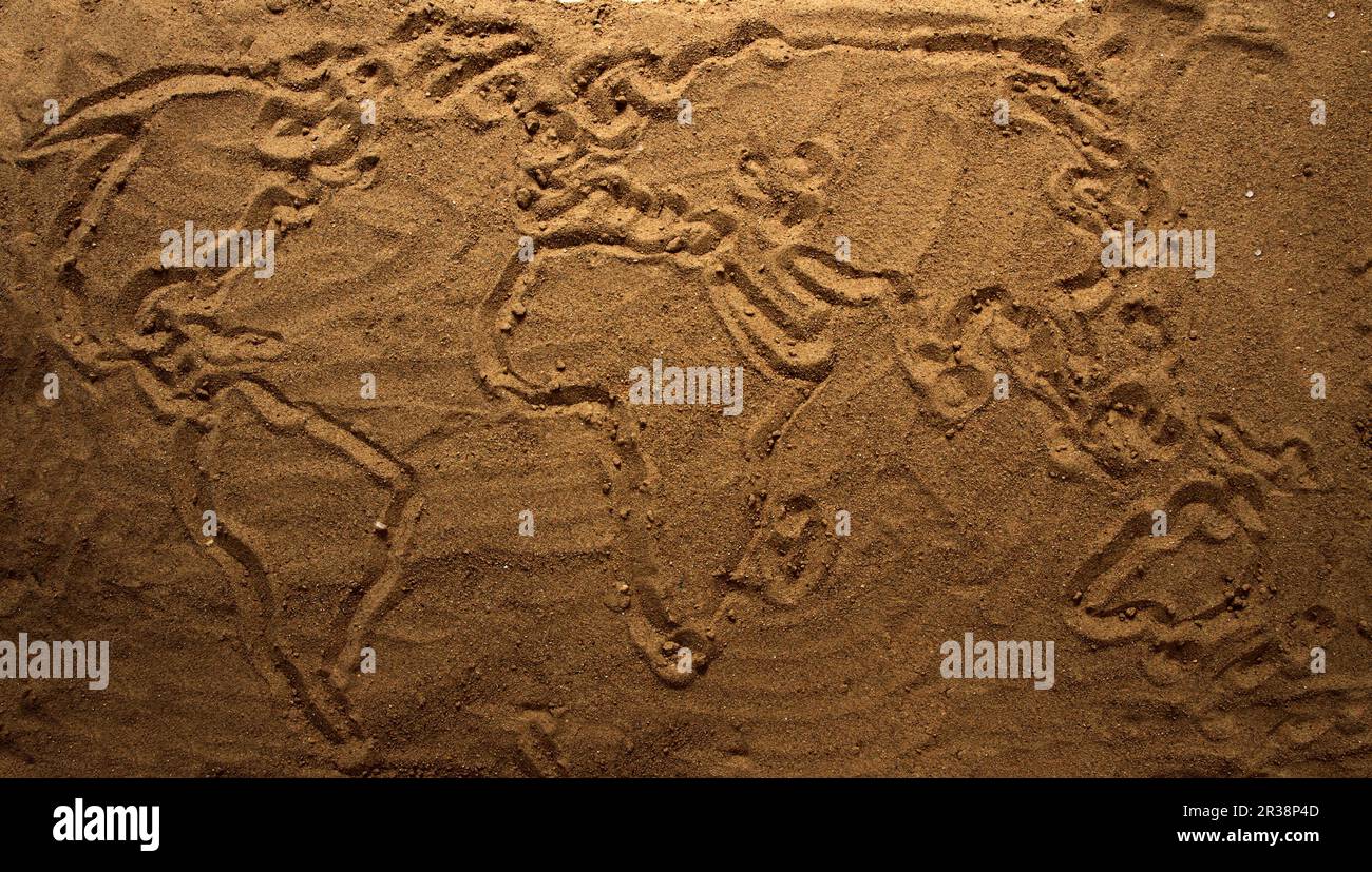 yellow sand texture (world map) as summer background Stock Photo - Alamy