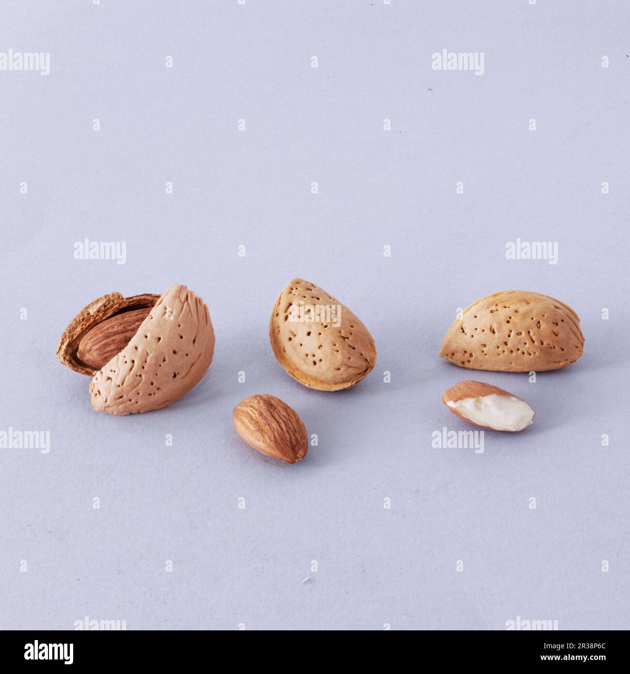 Complete shells hi-res stock photography and images - Alamy