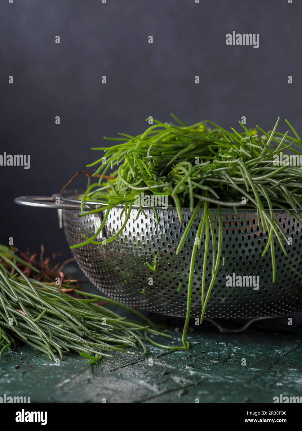 Raw spring agretti (barba di frate, Salsola soda) over black background ...
