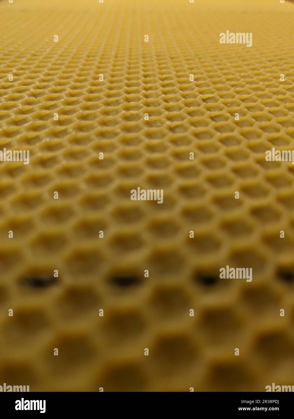 Wax bee hi-res stock photography and images - Alamy