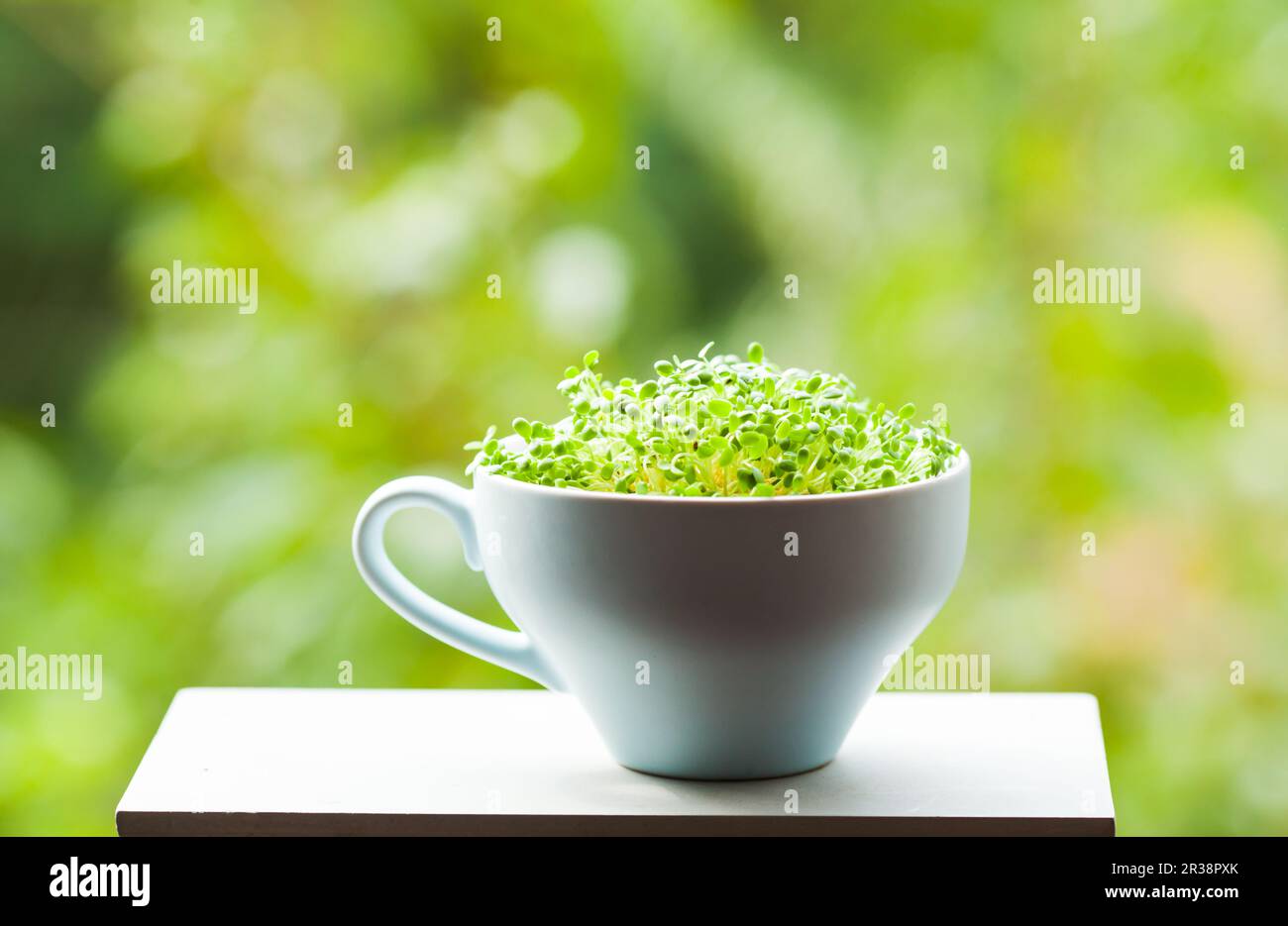 Blue and greens hi-res stock photography and images - Alamy