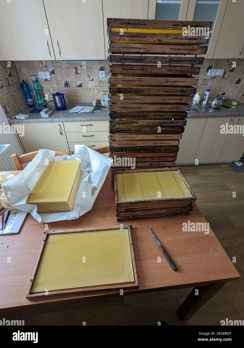 frames with wax,which are used in bee hives are getting ready for new ...