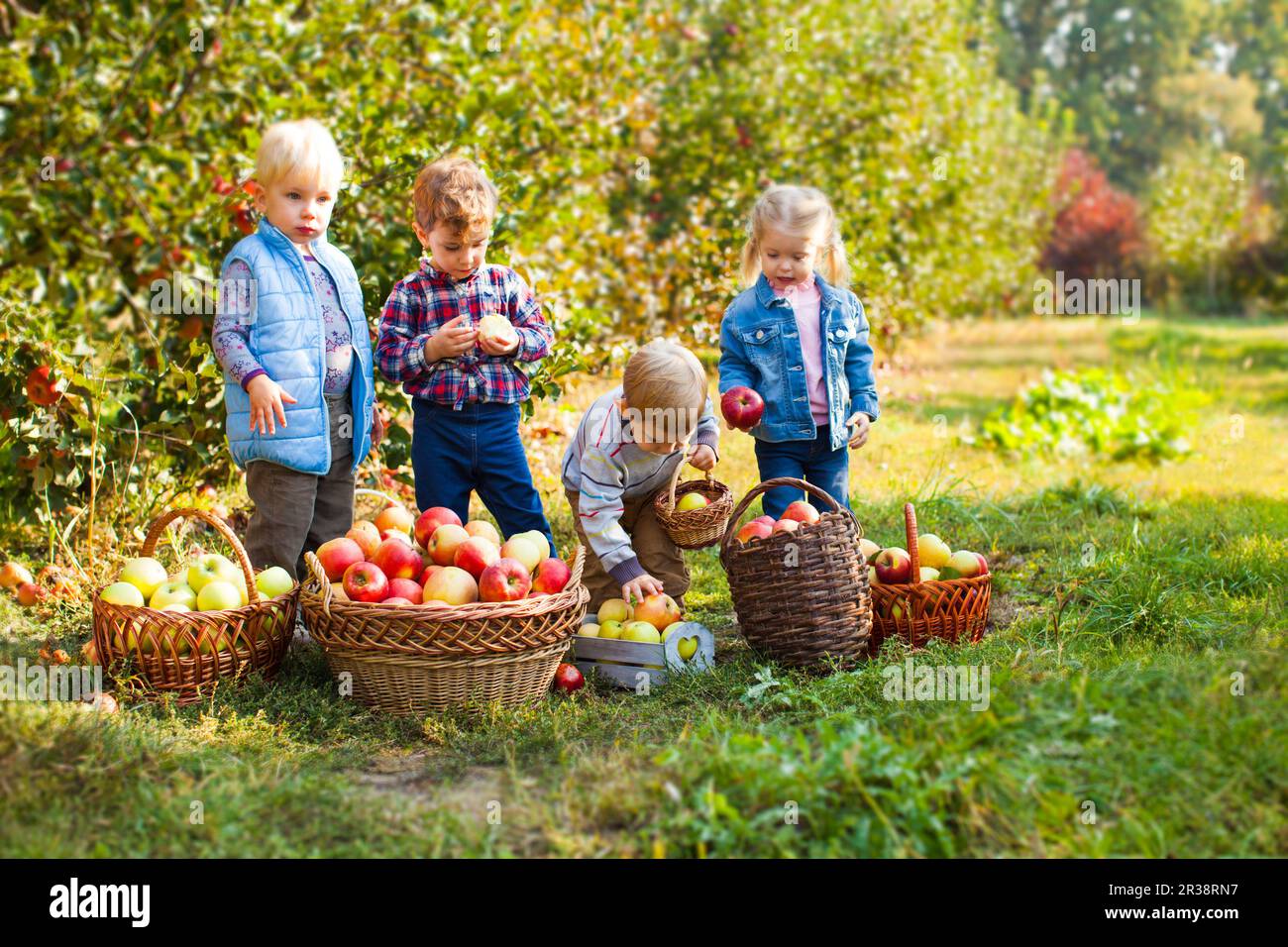 Two kids with apples in their hands at autumn orchard Stock Photo - Alamy