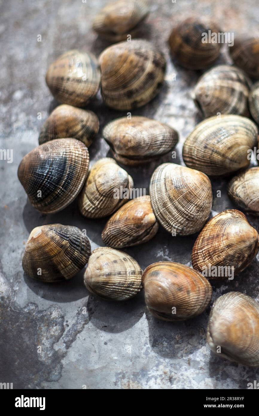 Venus clam recipe hi-res stock photography and images - Alamy