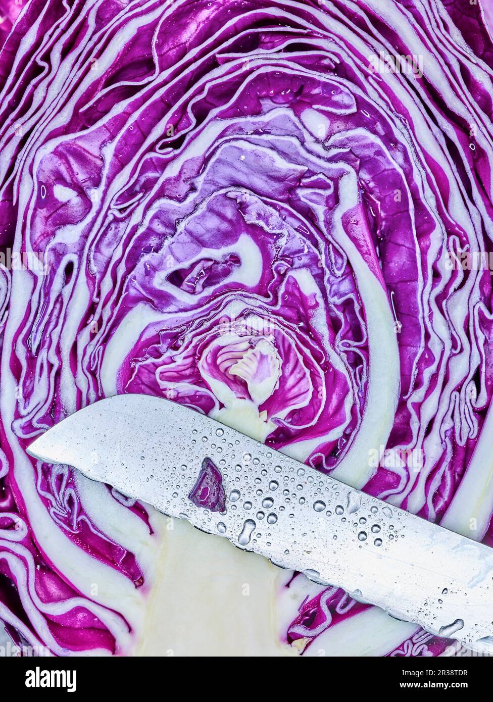 A halved red pointed cabbage (close-up Stock Photo - Alamy